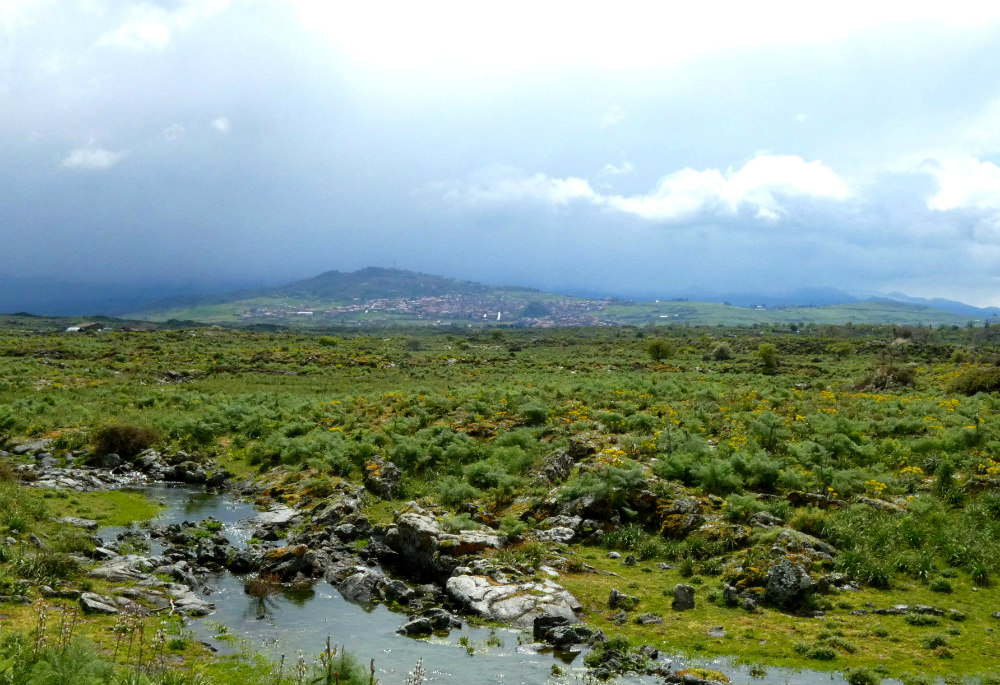 Le lieu d'été de l'Etna 3: Mont Maletto - Go-Etna - Excursion Etna